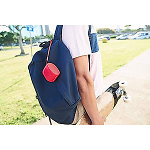 Sony SRS-XB01 Compact Portable Bluetooth Speaker: Loud Portable Party Speaker - Built in Mic for Phone Calls Bluetooth Speakers - Red - SRS-XB01