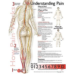Understanding Pain Anatomical Chart