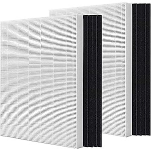 Colorfullife C545 True HEPA Replacement Filter S, Compatible with Winix C545 Air Purifier, Replace Part 1712-0096-00, 2 H13 Grade True HEPA + 8 Activated Carbon Filters