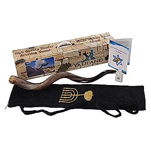 Shofar from Israel Set Full Polished Kudu Horn Yemenite + Bag + Spray + Guide + Carrying Box Case (28"-30")