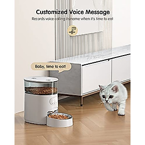 Faroro Automatic Cat Feeders, 4L Cat Dry Food Dispenser, Automatic Pet Feeders for Cats and Dogs with Portion Control, Schedule 1-6 Meals per Day, 10s Customized Voice Recording, Dual-Power Supply