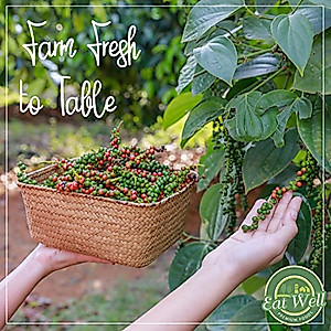 Eat Well Whole Black Peppercorns and Himalayan Pink Salt - Coarse Grains for Grinder Refill, 12 oz Peppercorns and 2 lb Salt