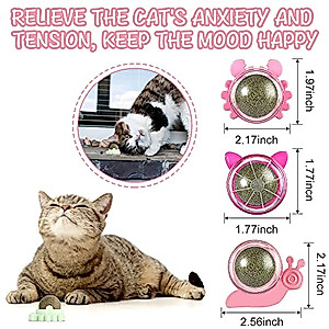 9 Pcs Catnip Wall Ball, Cat Toys Catnip Balls for Cats Wall Mounted Catnip Ball Toy Catnip Rollerball Wall Cat Lick Ball for Cat Kitten Kitty Pet Rotatable Indoor Catnip Toys Treat, Crab Snail Cat Ear