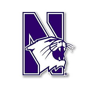 Northwestern University Wildcats 4 Inch Vinyl Mascot Magnet Officially Licensed Collegiate Product