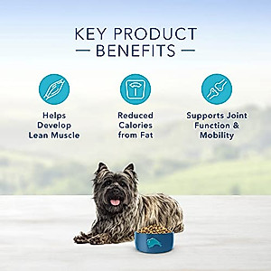 Blue Buffalo Life Protection Formula Natural Adult Small Breed Healthy Weight Dry Dog Food, Chicken and Brown Rice 5-lb Trial Size Bag