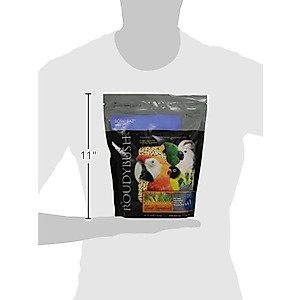 RoudyBush Low Fat Bird Food, Small, 44-Ounce