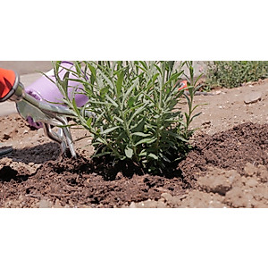 Garden Weasel Tiller – Till & Cultivate with Ease! – Features Dependable Aluminiron Construction, Non-Slip Comfort Grip, Two-Sided Prongs