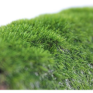 Penn-Plax Deco-Replicas Hide-Away Pipes with Club Moss Aquarium Decoration – Realistic Appearance with Various Textures – Safe for Freshwater and Saltwater Fish Tanks