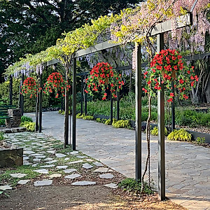 Homsunny Artificial Hanging Flowers Basket with 4 Pcs Bougainvillea Silk Vine Flowers for Outdoor Indoor,Coconut Lining Basket Hanging Plant Flowers for Patio Lawn Garden Decor(red)