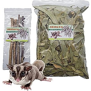 NEOUZA Sugar Glider Small Animal Bedding, Chew Treats, Molar Toys, 200g Natural Dried Eucalyptus Leaves and Twigs (200g Eucalyptus Leaves)