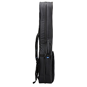 Reunion Blues RBX2B Double Electric Bass Bag