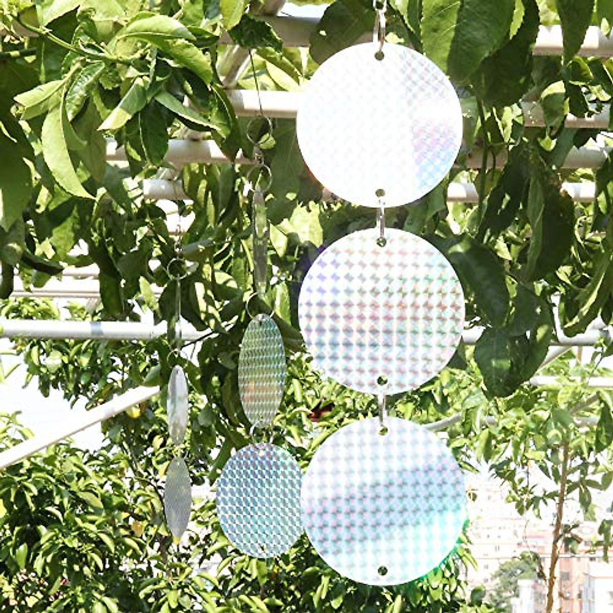 Bird Scare Devices,Woodpecker Outdoor Reflective Discs-Reflector ...