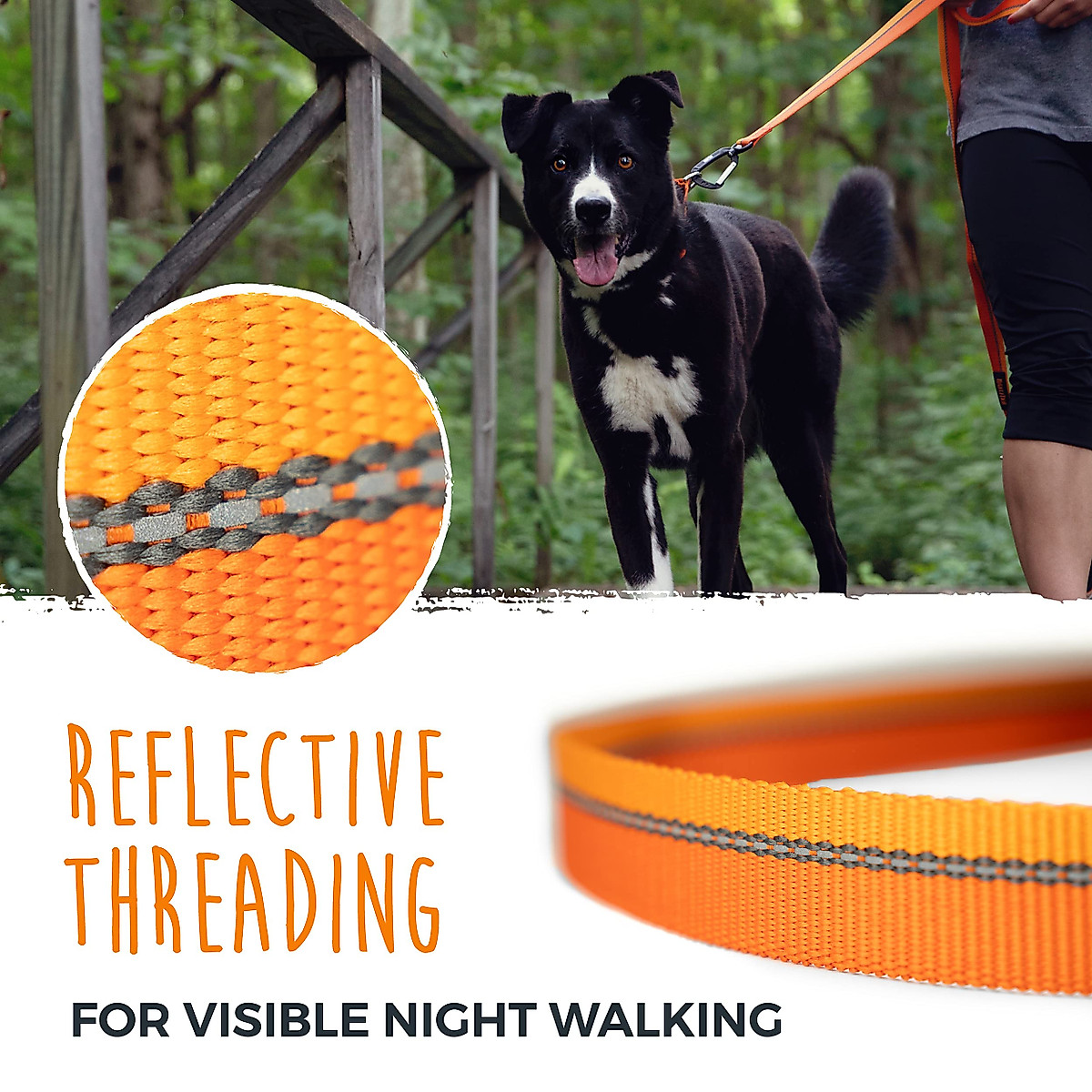 Mighty Paw Dog Leash - Soft Padded Handle - D-Ring and Pet Leash Clip - Carabiner Clip - Weatherproof with Reflective Stitching - 6 Foot Long Dog Leash for All Dog Breeds - Dog Walking Leash (Orange)