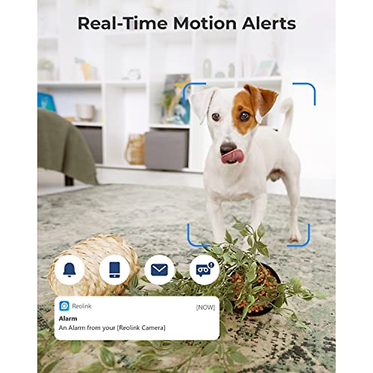 REOLINK Wireless Security Camera, E1 3MP HD Plug-in Indoor WiFi Camera for Home Security, Pan Tilt Baby Monitor/Pet Camera, Night Vision, Works with Alexa/Google Assistant (Renewed)