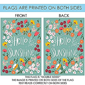 Toland Home Garden 1112560 Hello Sunshine Spring Flag 12x18 Inch Double Sided Spring Garden Flag for Outdoor House Flower Flag Yard Decoration