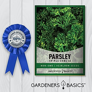 Curled Parsley Seeds for Planting Indoors and Outdoors Heirloom, Open-Pollinated, Non-GMO Curly Herb Variety- Great for Home Gardens and More by Gardeners Basics