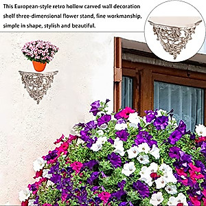 YARNOW Floating Wall Shelf, 1PC Resin Wall Mounted Decorative Wall Organizer Retro Hollow Flower Carving Decorative Storage Design for Living Room Bathroom Bedroom Gifts (Champagne Gold)