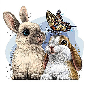 Two Rabbits Print Sherpa Fleece Blanket Lovely Rabbits Beautiful Butterfly Throw Blanket Brown Dots Graffiti Fuzzy Soft Blanket Bed Couch,Twin Size (60 x 80 Inches)