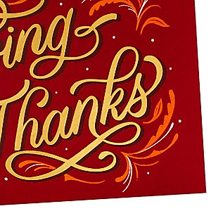 Hallmark Thanksgiving Cards Pack, Giving Thanks (40 Cards with Envelopes)