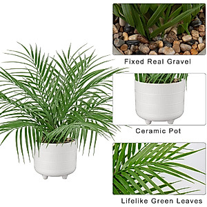 Hollyone Large Artificial Potted Plants Fake Palm Plants 19" Faux Green Plant Plastic Tropical Palm Tree in White Ceramic Pots Bohemian for Home Room Office House Indoor Decoration