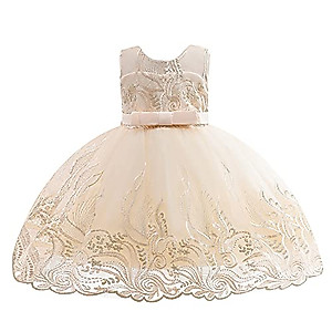 LENEFU Baby Girl Dress Kids Formal Flower Lace Embroidery,Sleeveless Princess Gown for Party Wedding Pageant(Champagne130)