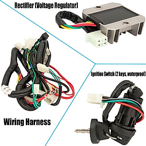 Complete Wiring Harness Kit Electrics ATV Wire Harness Kit with CDI Stator Regulator Ignition Switch Solenoid Relay For GY6 125cc 150cc Pit Bike Scooter ATV Quad Go Kart 4-Stroke Parts by Yolik