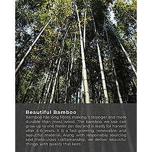 Simluxe Ziplock Bag Organizer - Bamboo Food Plastic Baggie Holder Dispenser and Organizer for Kitchen Drawer - Fits Ziplock and Ziploc Gallon Quart Sandwich & Snack Sized Slider Bags (Natural)