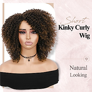 Hanne Fashion Short Kinky Curly Wigs Ombre Brown Side Part Wig Afro Curly Wig Twist Out Wigs Heat Resistant Fiber Synthetic Full Wigs for Black Women (1B 30#)
