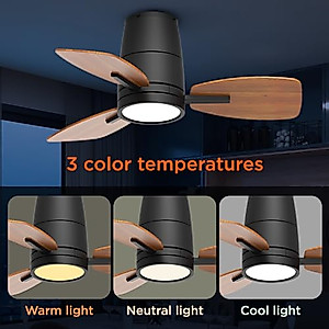 TALOYA Small Ceiling Fan with Lights and Remote Control 30 inch Multifunctional Quiet Fan with Three Color Temperature Light and Reversible Blades