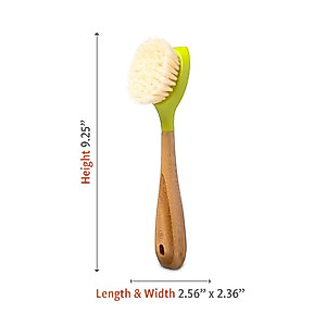 Full Circle Be Good Bamboo Handle Dish Brush – Sustainable Kitchen Cleaning with Tough Bristles - Natural Dish Scrubber & Cast Iron Cleaner - Long Handle Brush for Dishes, Pots, and Pans, Green