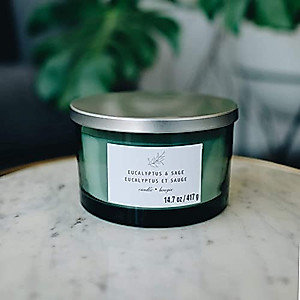 Michaels Bulk 8 Pack: Eucalyptus & Sage 3-Wick Jar Candle by Ashland®