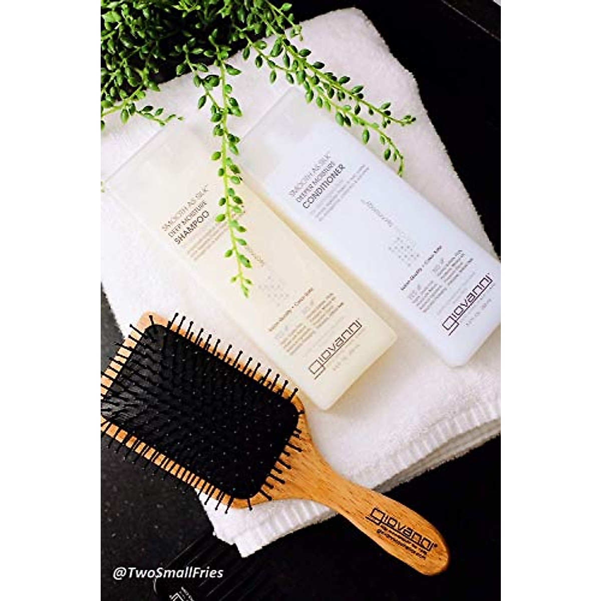 GIOVANNI Eco Chic Smooth as Silk Deeper Moisture Conditioner, 24 oz. - Apple + Aloe Extracts, Calms Frizz, Detangles, Wash & Go, Lauryl & Laureth Sulfate Free, Paraben Free, Color Safe