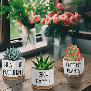 Funny Succulent Pots, 3.15 inch Ceramic Flower Plant Pots with Bamboo Tray, Cute Cactus Planters with Drainage Hole, Birthday Gifts for Women, Plant Lover Gifts, Pack of 3 - Plants Not Included