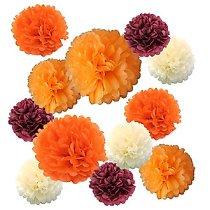 12-Piece Maroon Burgundy Orange Little Pumpkin Party Tissue Pom Poms Paper Flowers Centerpieces Fall Thanksgiving Baby Bridal Shower Wedding Birthday Party Nursery Table Wall Garden Hanging Décor