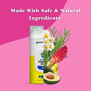 earthbath, Hypo-Allergenic Grooming Wipes – Fragrance Free Dog Wipes for Paws and Butt, Best Pet Wipes for Dogs with Sensitive Skin, Made in USA, Cruelty-Free Dog Cleaning Wipes – 100 Count (1 Pack)