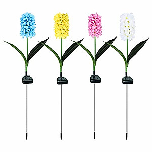 Solar Garden Lights,Hyacinth lamp,Decoration for Pathway Yard Lawn Patio Path,Pink Yellow White Blue, Pack of 4