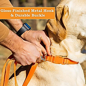 PAWBLEFY Personalized Dog Collars - Reflective Nylon Collar Customized with Name and Phone Number - Adjustable Sizes for Small Dogs, Medium, and Large - 4 Colors for Male Female boy Girl Puppies