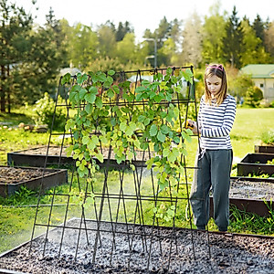 UrGROWA Cucumber Trellis 2 Pack, Foldable A-Frame Garden Trellis for Raised Bed Garden Grow Support with Plant Support Clips, Twist Ties, Plastic Ties, for Cucumber,Tomato, Climbing Plants and Flowers