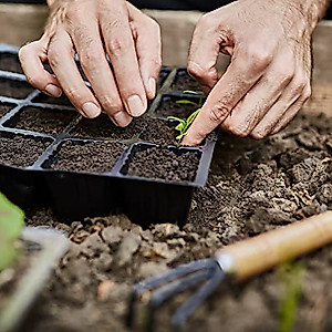 Halatool 10 Pack Seed Starter Tray Black Seedling Starter Trays with Humidity Dome Reusable Seed Starting Trays 240 Cells Seed Starter Kit with 2 Garden Tools & 200 Plant Labels for Seeds Starting