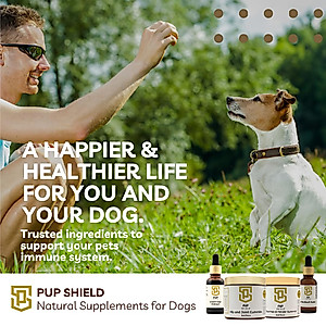 Pup Shield Natural Immune Support Formula for Dogs | Probiotics with Olive Leaf, Turkey Tail & Echinacea | Wellness Formula for Puppies & Dogs | Easy to Administer - 30 Day Supply