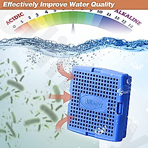 Bilinavy Hot Tub Mineral Sanitizer for Sundance Spas Filter, Silver Ion Mineral Cartridge Last for 4 Months Treats, Cleans and Clarifies