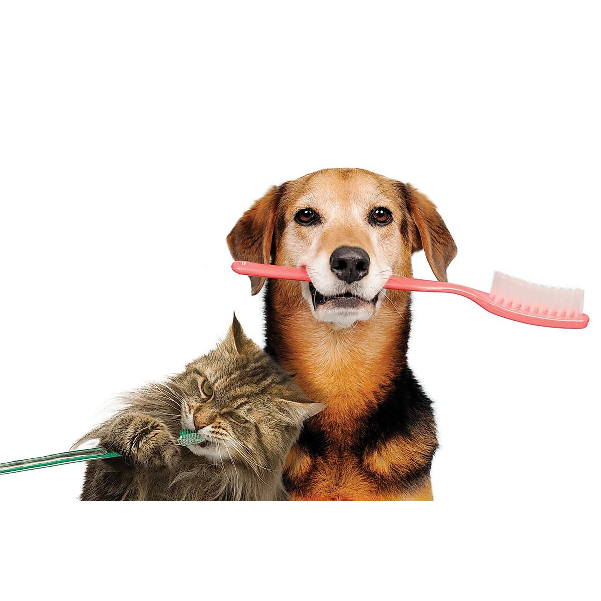 MY LUCKY PETS LLC Dog Dental Treats Large Breed - PET Teeth Health AID - Dogs and Cats - Immune Boost - Gum and Oral Care - coq10 for Dogs chewable - 2 Bottles (120 Tablets)