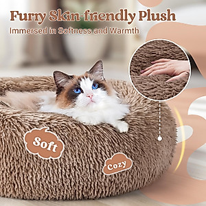 rabbitgoo Cat Beds for Indoor Cats, 20 inches Cat Bed Machine Washable, Fluffy Round Pet Bed Non-Slip, Calming Soft Plush Donut Cuddler Cushion Self Warming for Small Dogs Kittens, Light Brown, Medium