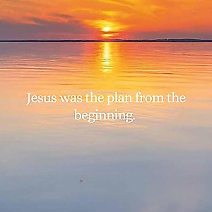 John - Storyteller - Bible Study Book: Signs of the Messiah