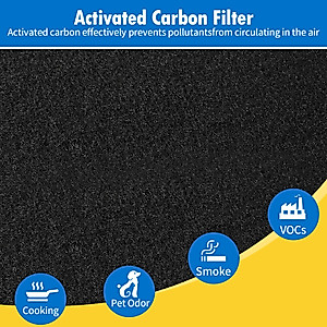 Gazeer C545 True H13 HEPA Replacement Filter S Compatible with Winix C545,Replacement for Winix S Filter Part 1712-0096-00 and 2522-0058-00, 2 x True HEPA Filter + 8 x Activated Carbon Pre-Filters