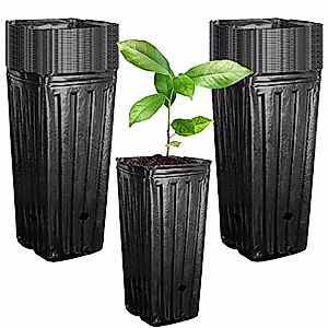 Iceyyyy 40Pcs Tall Tree Pots,Plastic Deep Nursery Treepots,7.8" Tall Seedling Flower Plant Container Pots for Indoor Outdoor Garden Plants (40pcs)