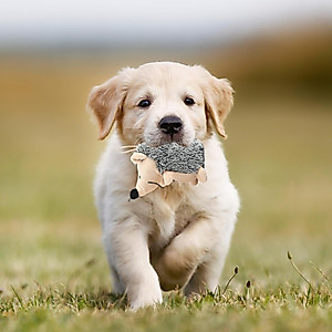 Pesoncarl Indestructible Dog Toy,Tough Dog Toys, Hedgehog Dog Toy 2PCS Hedgehog Squeaky Dog Toys, Built-in Squeaker Plush Interactive Dog Toys for Boredom Chew Toys Black and Brown