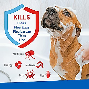 Adams Plus Flea & Tick Shampoo with Precor for Cats, Kittens, Dogs & Puppies Over 12 Weeks Of Age Sensitive Skin Flea Treatment | Kills Adult Fleas, Flea Eggs, Ticks, and Lice