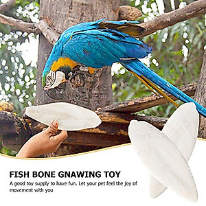 TEHAUX Bird Cuttlebone for Parakeets, Natural Cuddle Bone, Chewing Cuttlefish Bone for Sharp Beaks, Natural Birds Calcium Suitable for Parrot Cockatiels Budgie Conures