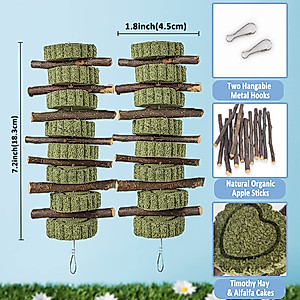 Arespark Pack-2 Rabbit Chew Toys, Organic Bunny Toys Apple Wood Branches/Timothy Hay Straw Cakes, Teeth Grinding Chew Treats for Guinea Pig Hamster Bunny Small Rodent, Juguetes para Conejos
